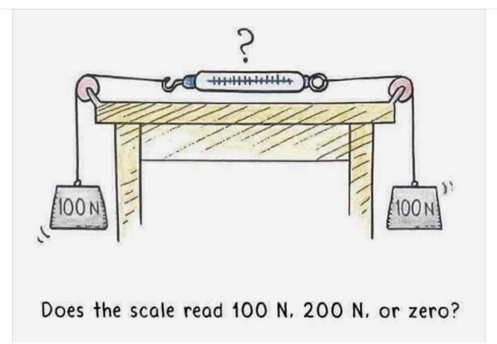 Solved 100 N Does the scale read 100 N, 200 N, or zero | Chegg.com