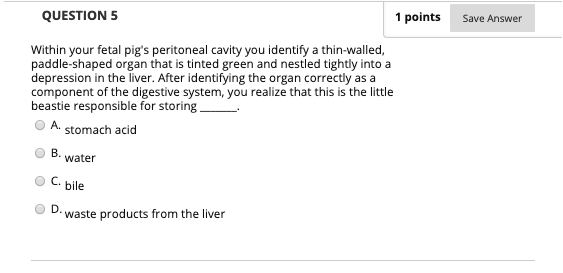Solved 1 points Save Answer QUESTION 5 Within your fetal | Chegg.com Solved 1 points Save Answer QUESTION 5 Within your fetal | Chegg.com