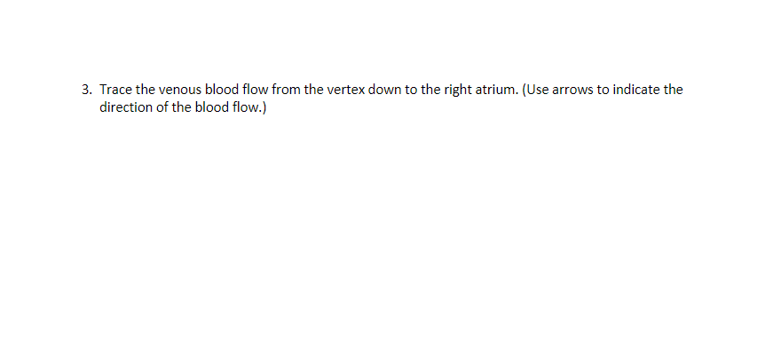 Solved 3. Trace the venous blood flow from the vertex down | Chegg.com