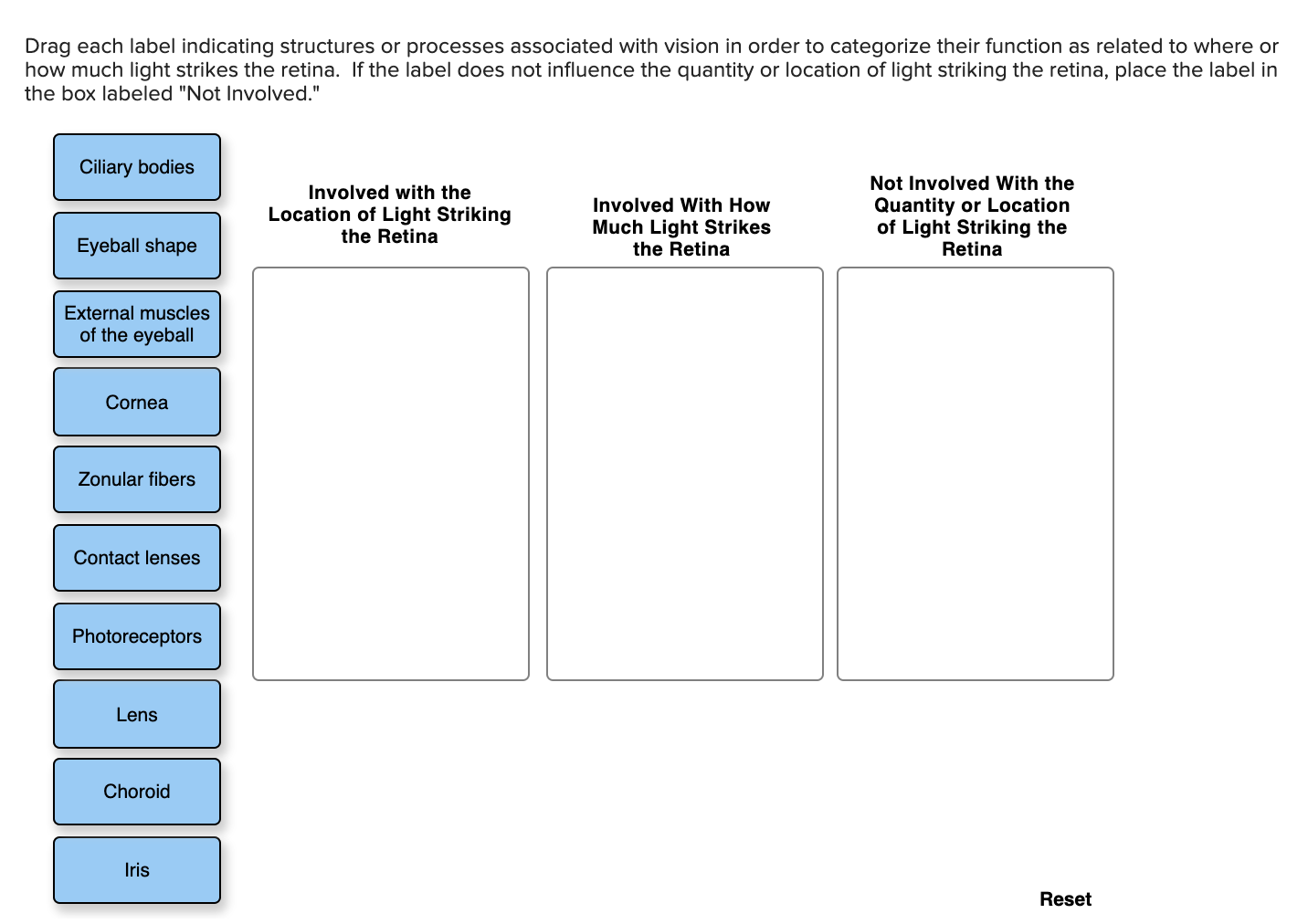 Solved Drag each label indicating structures or processes | Chegg.com