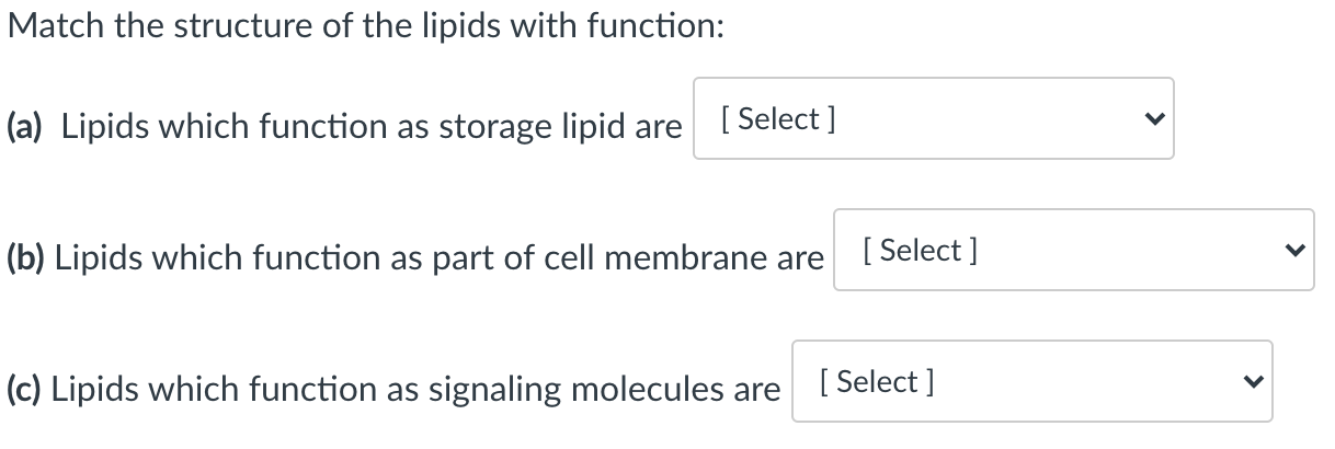 Solved Match the structure of the lipids with function: [ | Chegg.com
