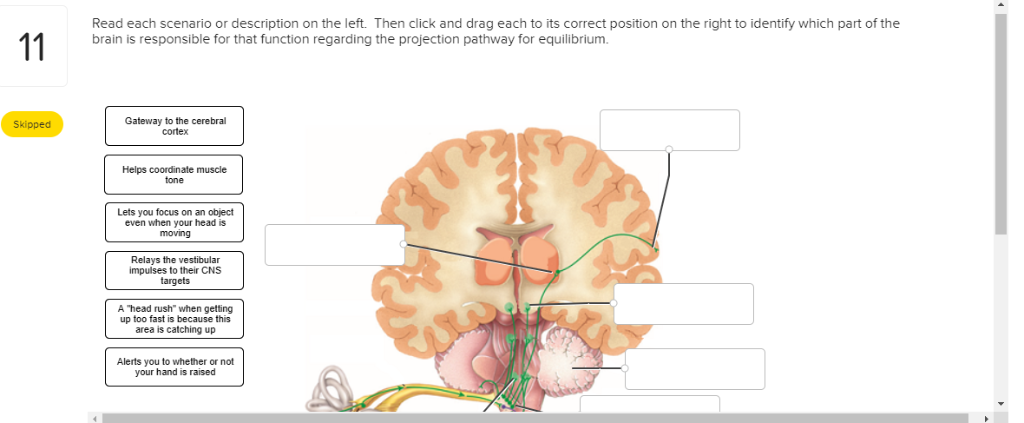 Solved Read each scenario or description on the left. Then | Chegg.com