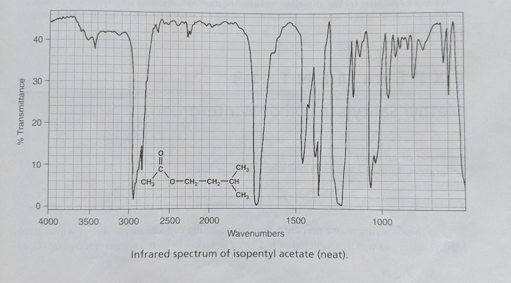 Solved Interpret the principal absorption bands in the | Chegg.com