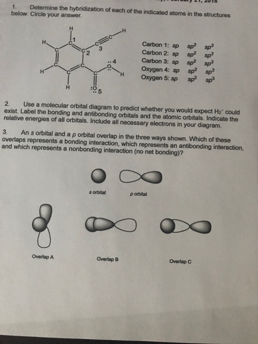 Solved 1. Determine the hybridization of each of the | Chegg.com