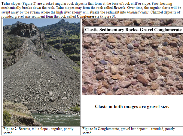 Solved 1) Describe the degree of rounding and sorting for | Chegg.com