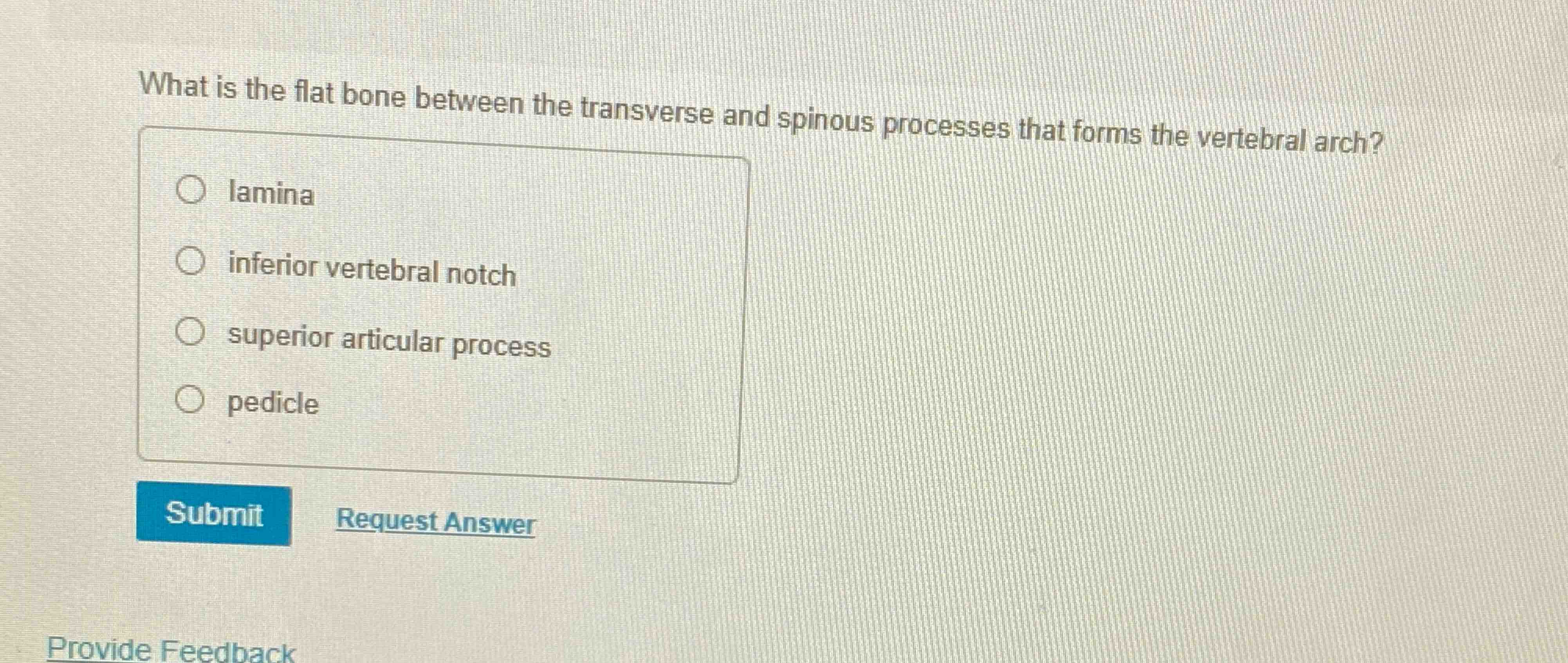 Solved What is the flat bone between the transverse and | Chegg.com