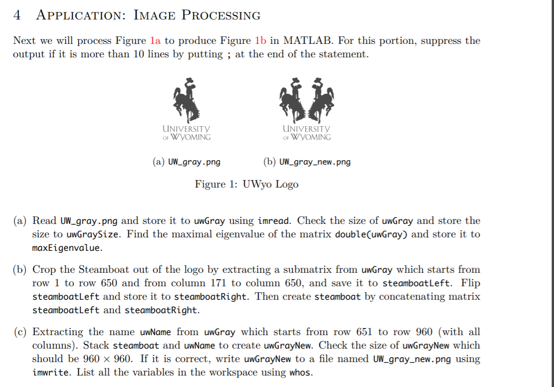 4 APPLICATION: IMAGE PROCESSING Next we will process | Chegg.com