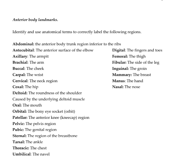 Solved Posterior Body Landmarks Identify and appropriately | Chegg.com