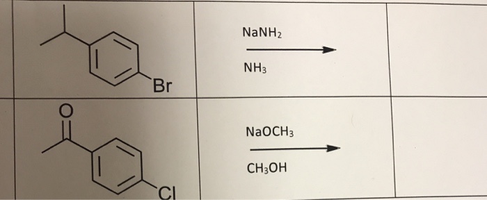 Solved Draw The Structure Of The Expected Major Product And