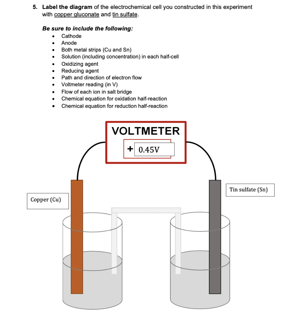 Solved 5. Label the diagram of the electrochemical cell you | Chegg.com