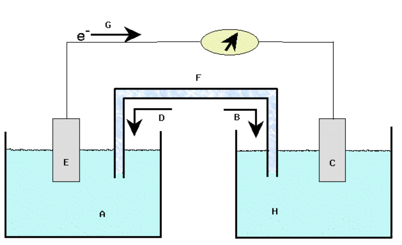 Solved False True The Salt Bridge Is Labeled F False True Chegg solved-false-true-the-salt-bridge-is-labeled-f-false-true-chegg