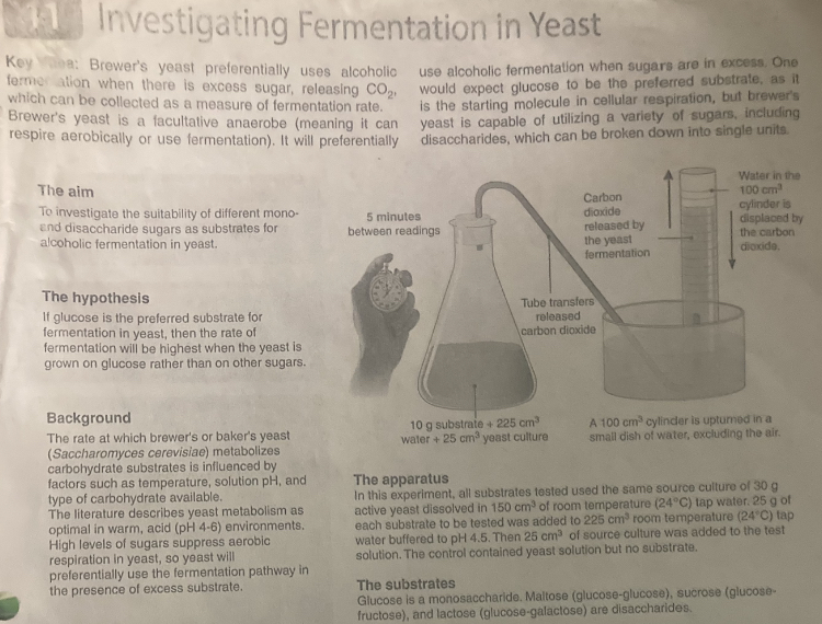 Solved Investigating Fermentation in Yeast Key Waia: | Chegg.com