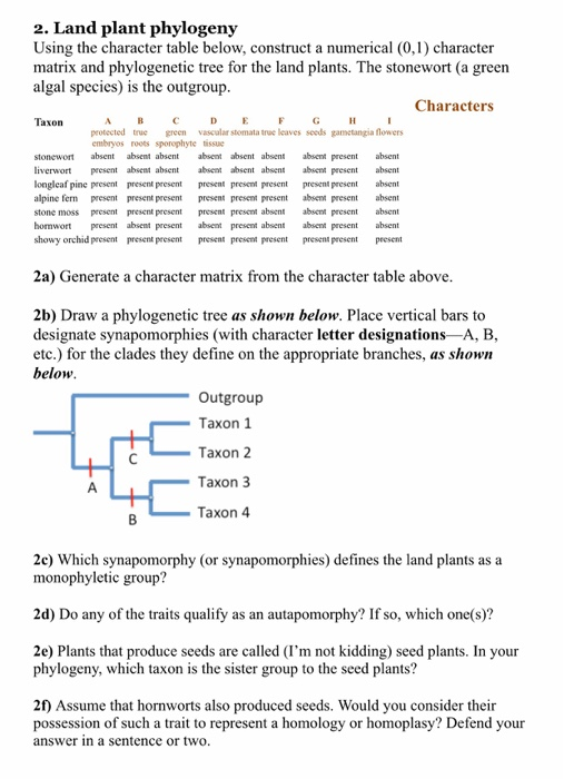 Solved 2. Land plant phylogeny Using the character table | Chegg.com