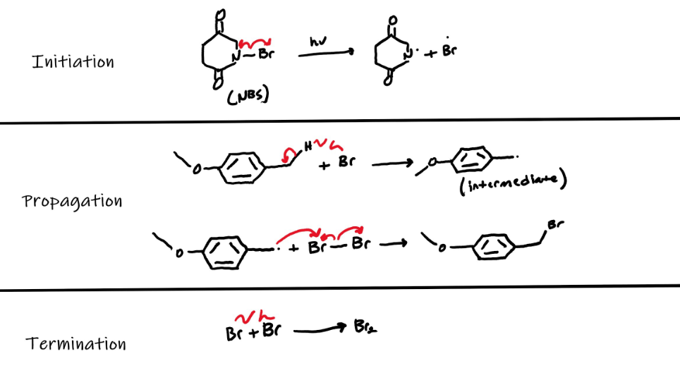 Solved In WORDS describe this entire reaction in FULL | Chegg.com