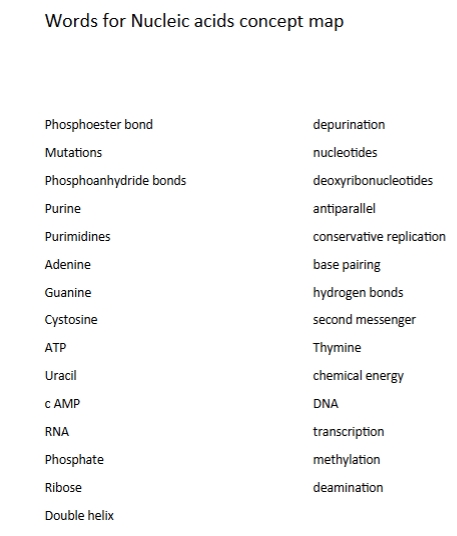 Solved Words for Nucleic acids concept map | Chegg.com