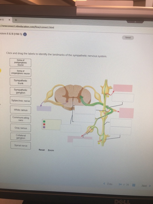 Solved Click and drag the labels to identify the landmarks | Chegg.com