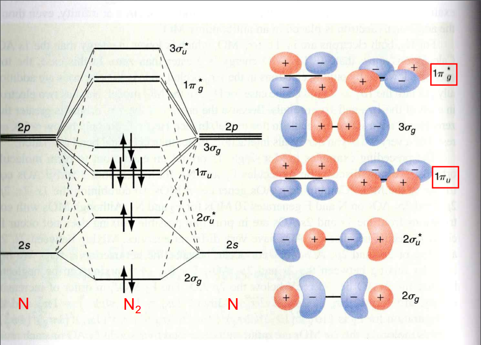 Solved 2. The MO diagram of ground state N2 is illustrated | Chegg.com