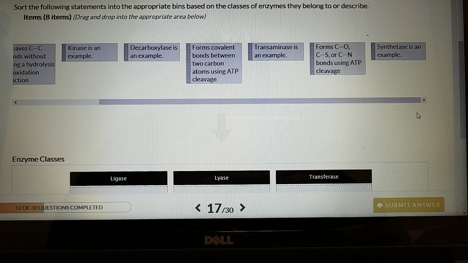 Sort the following statements into the appropriate | Chegg.com