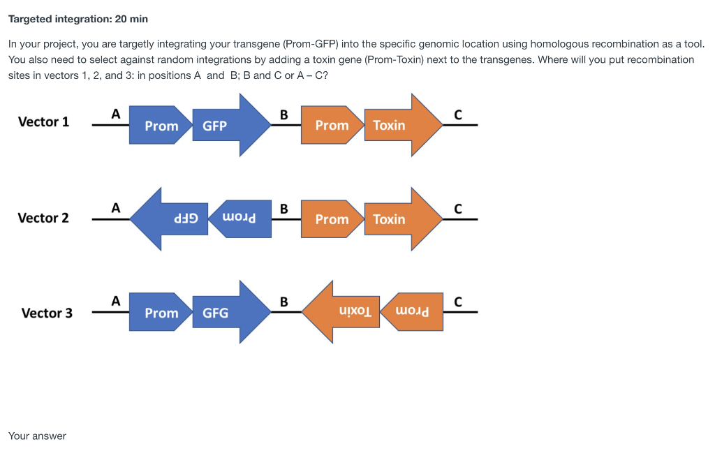 Solved Targeted integration: 20 min In your project, you are | Chegg.com