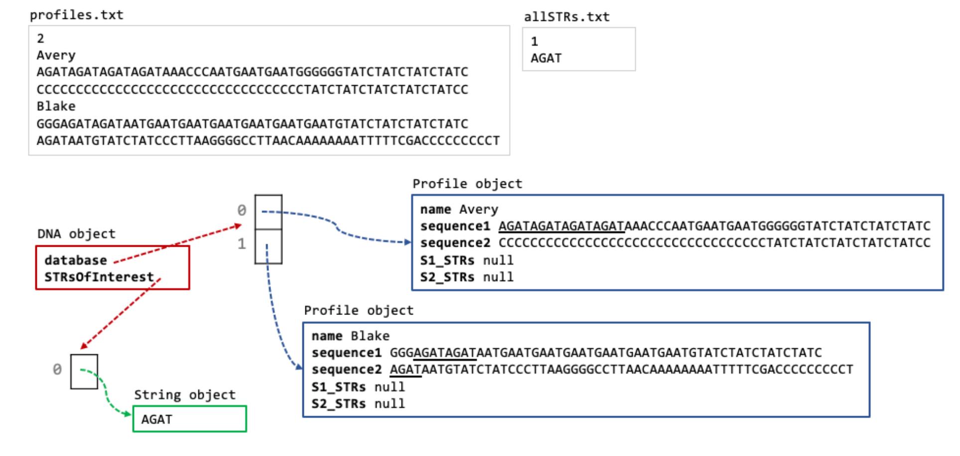 DNA OverviewDNA is the carrier of genetic information | Chegg.com