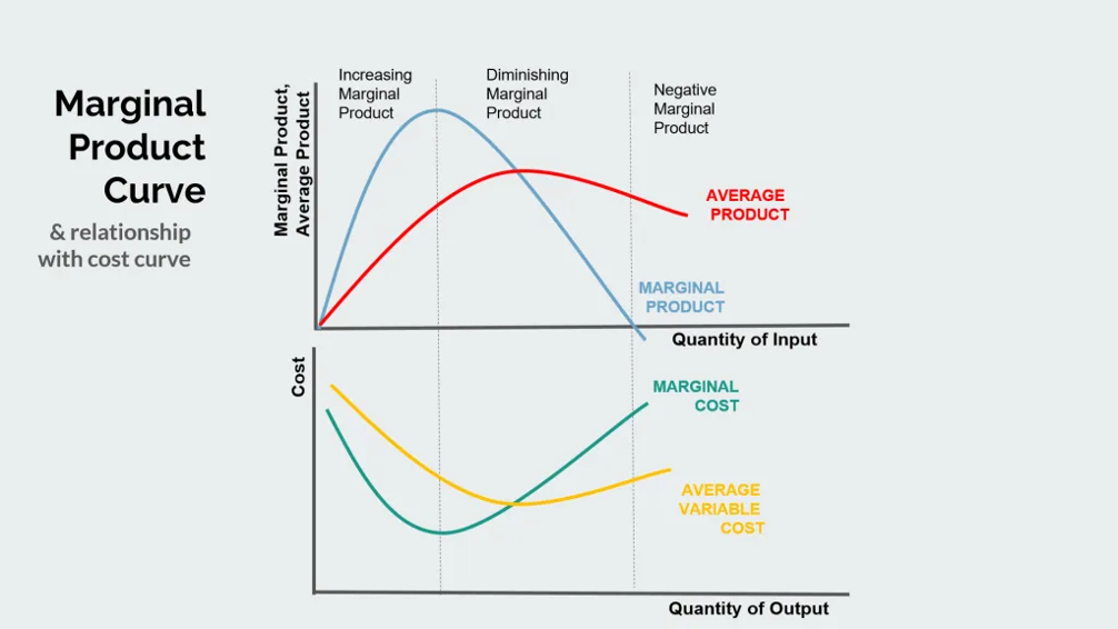 Solved 1. Explain the shape of the MP curve, what is its | Chegg.com