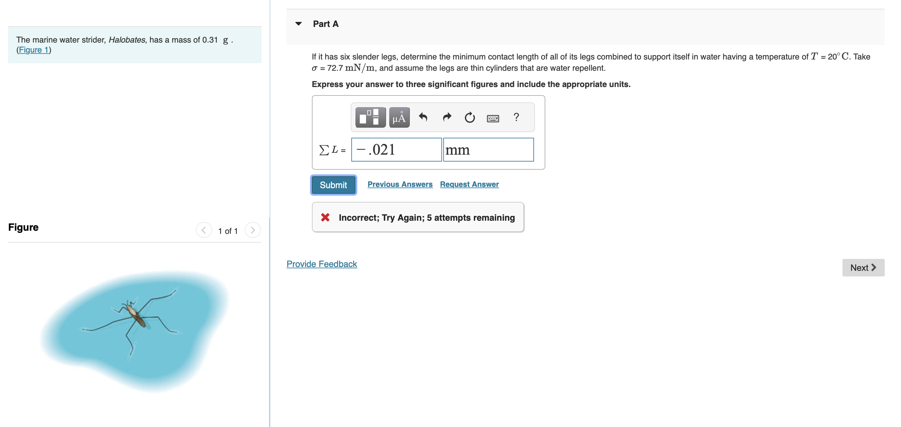 Solved The marine water strider, Halobates, has a mass of | Chegg.com