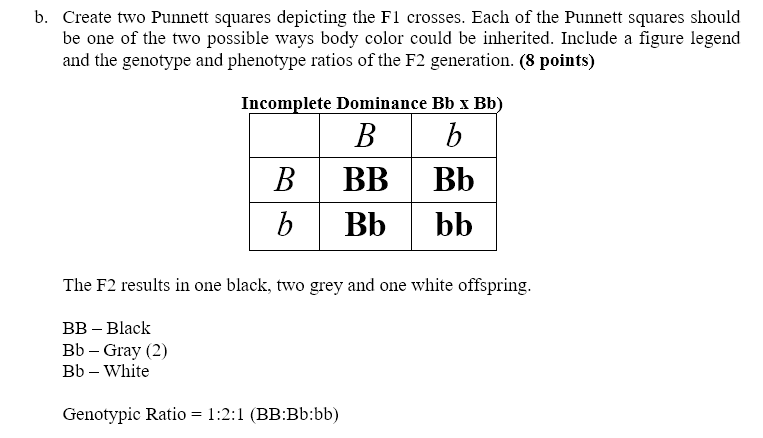 Solved The fist Punnett Square is done, I just need the | Chegg.com