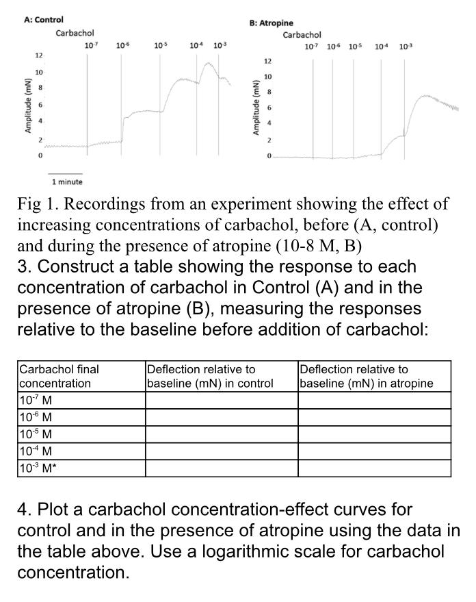 A: Control Carbachol 107 105 B: Atropine Carbachol | Chegg.com