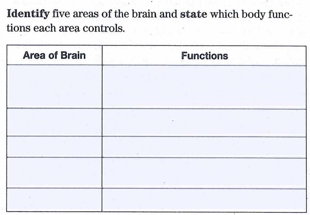 Solved Identify five areas of the brain and state which body | Chegg.com