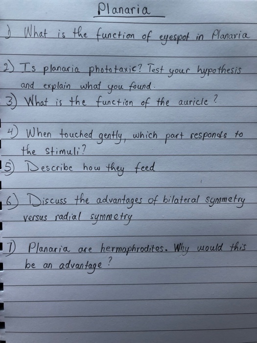 Solved Planaria ? |N hat is tee function of eyespot in | Chegg.com
