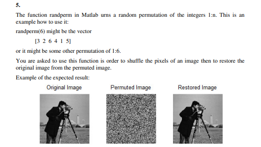 Solved 5 The Function Randperm In Matlab Urns A Random Chegg