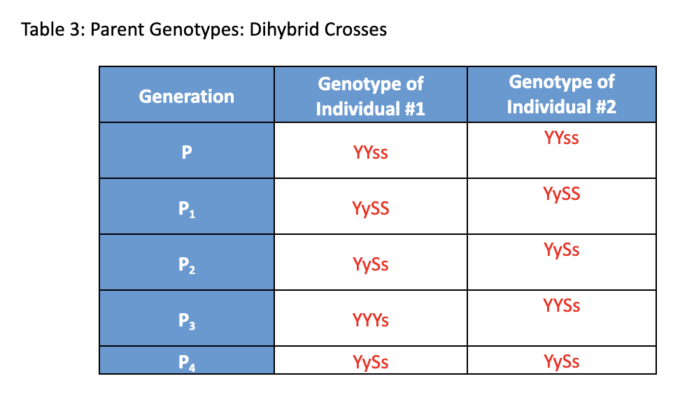 Solved Table 3: Parent Genotypes: Dihybrid | Chegg.com