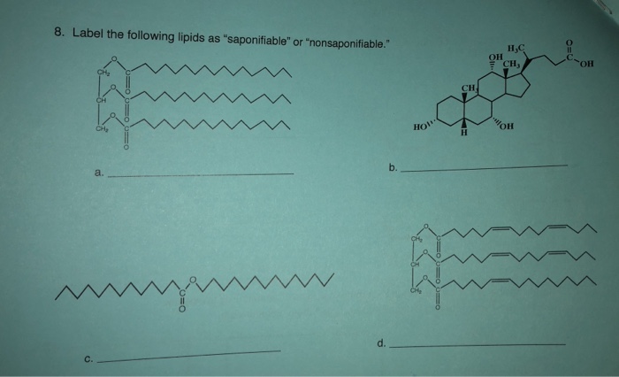 Solved 8. Label the following lipids as "saponifiable" or | Chegg.com