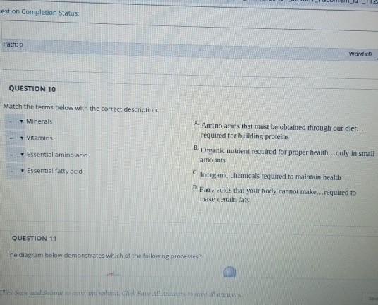 Solved Menu--112 estion Completion Status: Path:p Words:0 | Chegg.com Solved Menu--112 estion Completion Status: Path:p Words:0 | Chegg.com