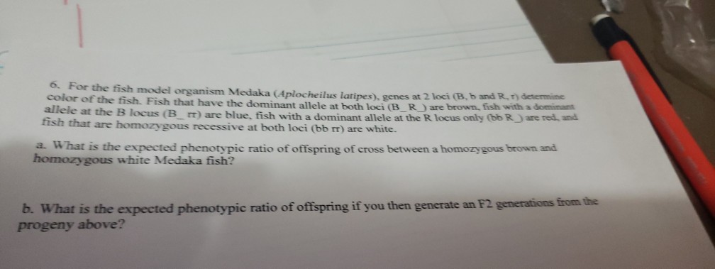Solved 6. For the fish model organism Medaka (Aplocheilus | Chegg.com