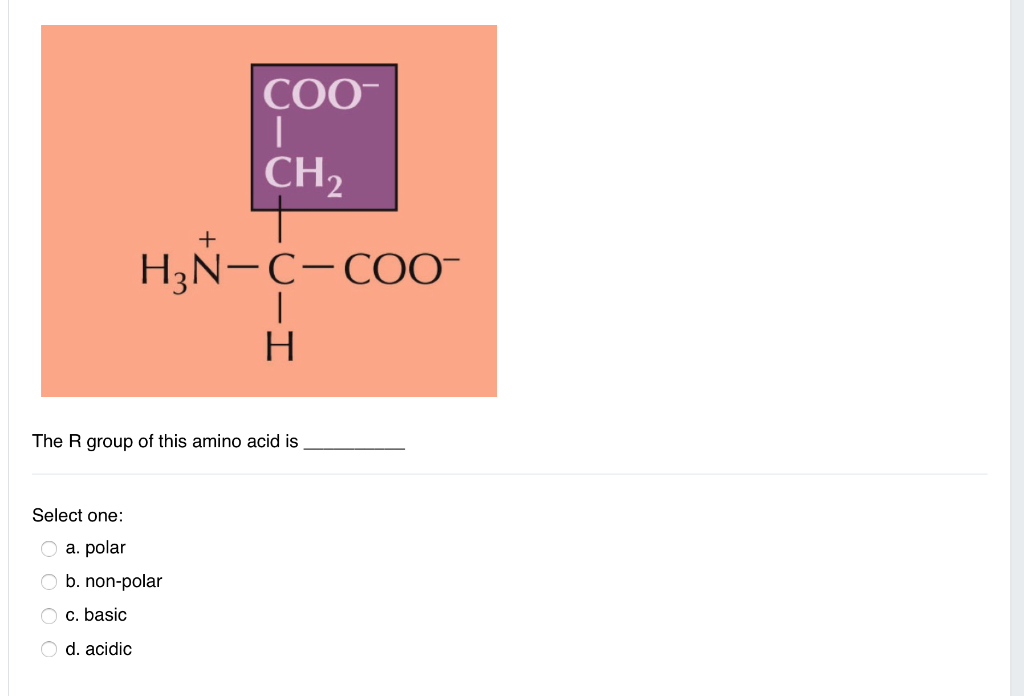 Solved HN + NH CH + H3N-C-COO- | H The R group of this amino | Chegg.com