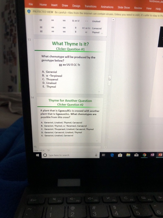 Solved File Home Insert Draw Design Transitions Animations | Chegg.com