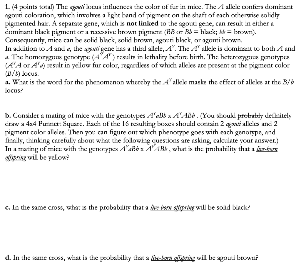 Solved 1. (4 points total) The agouti locus influences the | Chegg.com