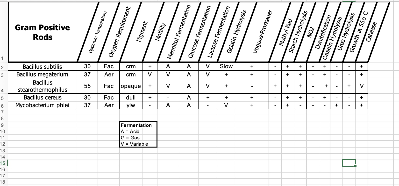 Solved UNKNOWN ORGANISMS IDENTIFICATION HOMEWORK | Chegg.com