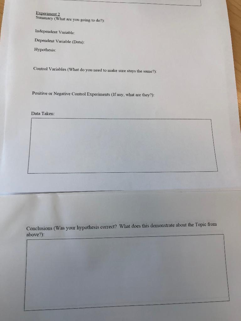 Solved Experiment #2 - Enzyme Concentration | Chegg.com