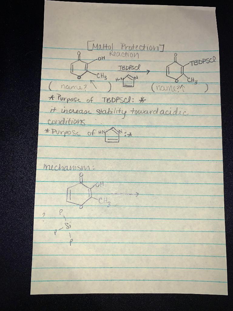 Solved MALTOL PROTECTION: I NEED HELP WITH: -IN THE REACTION | Chegg.com