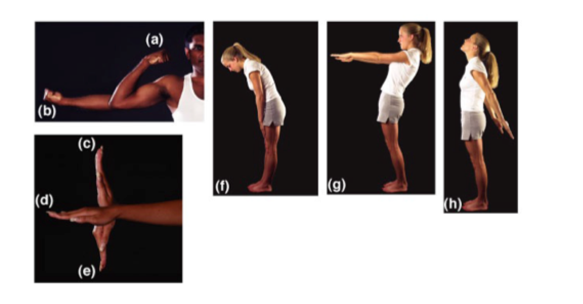 Identify the movement and reach and below | Chegg.com
