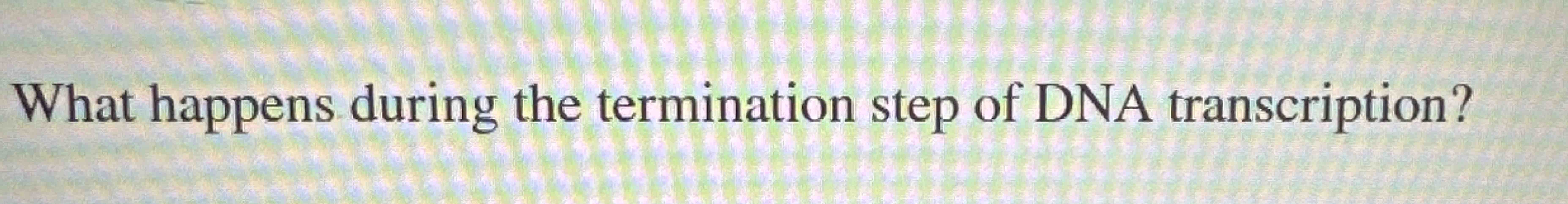 Solved What happens during the termination step of DNA | Chegg.com