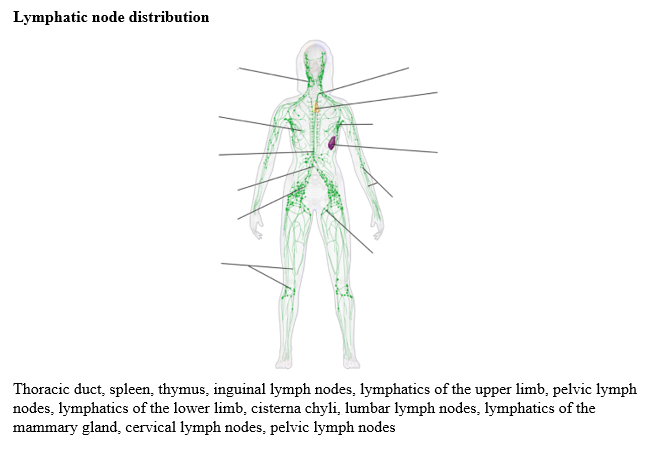 Solved Lymphatic node distribution Thoracic duct, spleen, | Chegg.com