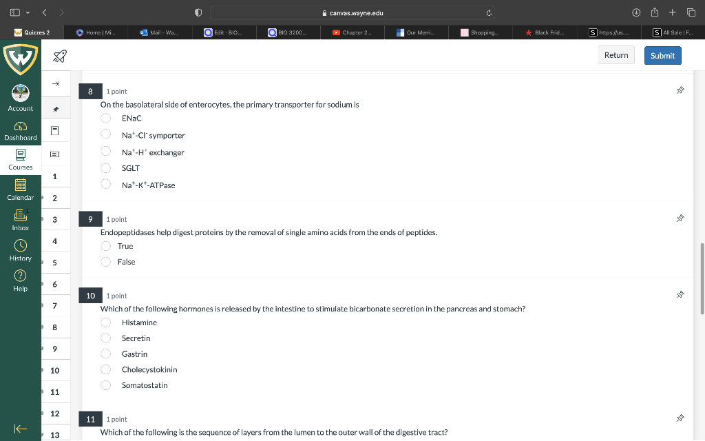 Solved On the basolateral side of enterocytes, the primary | Chegg.com