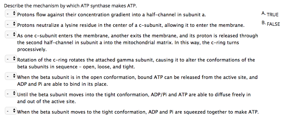 Solved Describe the mechanism by which ATP synthase makes | Chegg.com