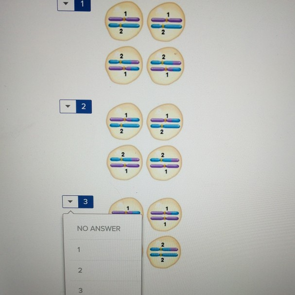 Solved Looking at the three possible alignments of | Chegg.com