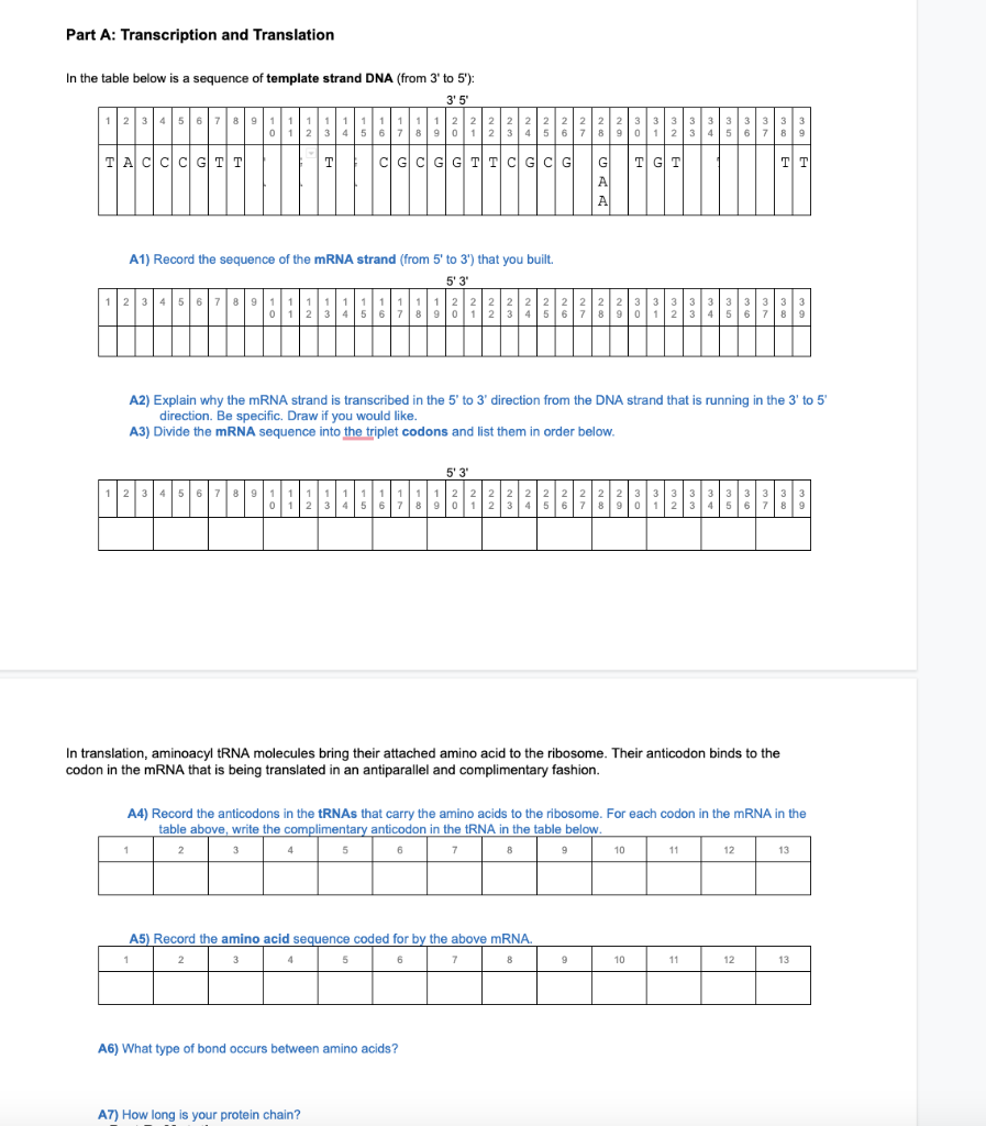 Part A: Transcription and Translation In the table | Chegg.com