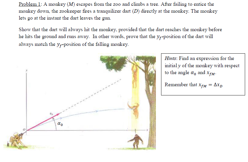 Solved Problem1: A monkey (M) escapes from the zoo and | Chegg.com