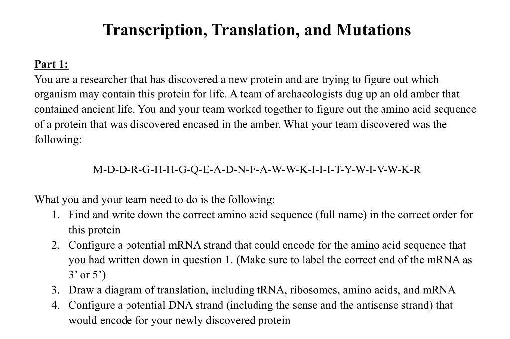 Solved Transcription, Translation, and Mutations Part 1: You | Chegg.com